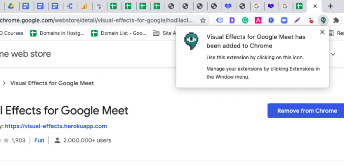 Download Visual Effects For Google Meet | DOREMi